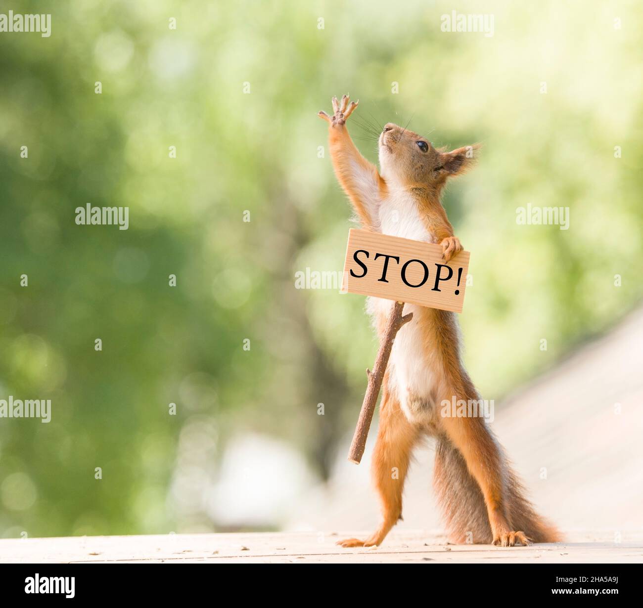 Animal holding sign hi-res stock photography and images - Alamy