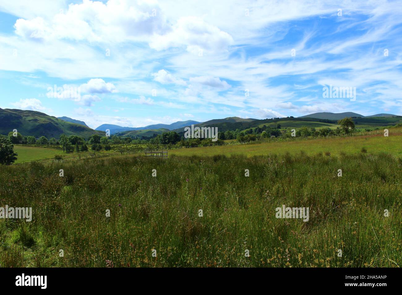 Tall grass meadow with fields and hills in the background seen on a ...