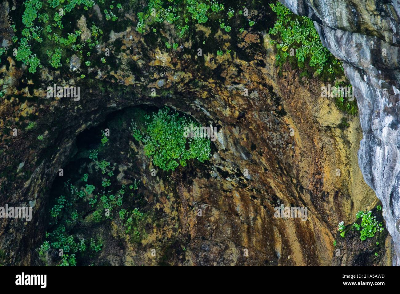 Rock structures in a surf cave hi-res stock photography and images - Alamy