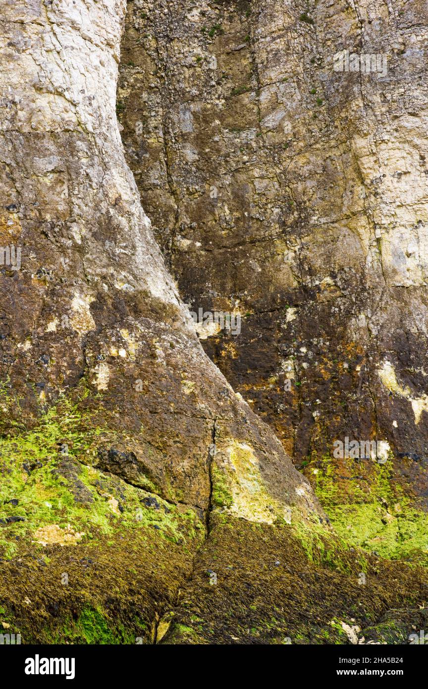 Cliff white rocks made of shell limestone with green algae hi-res stock ...