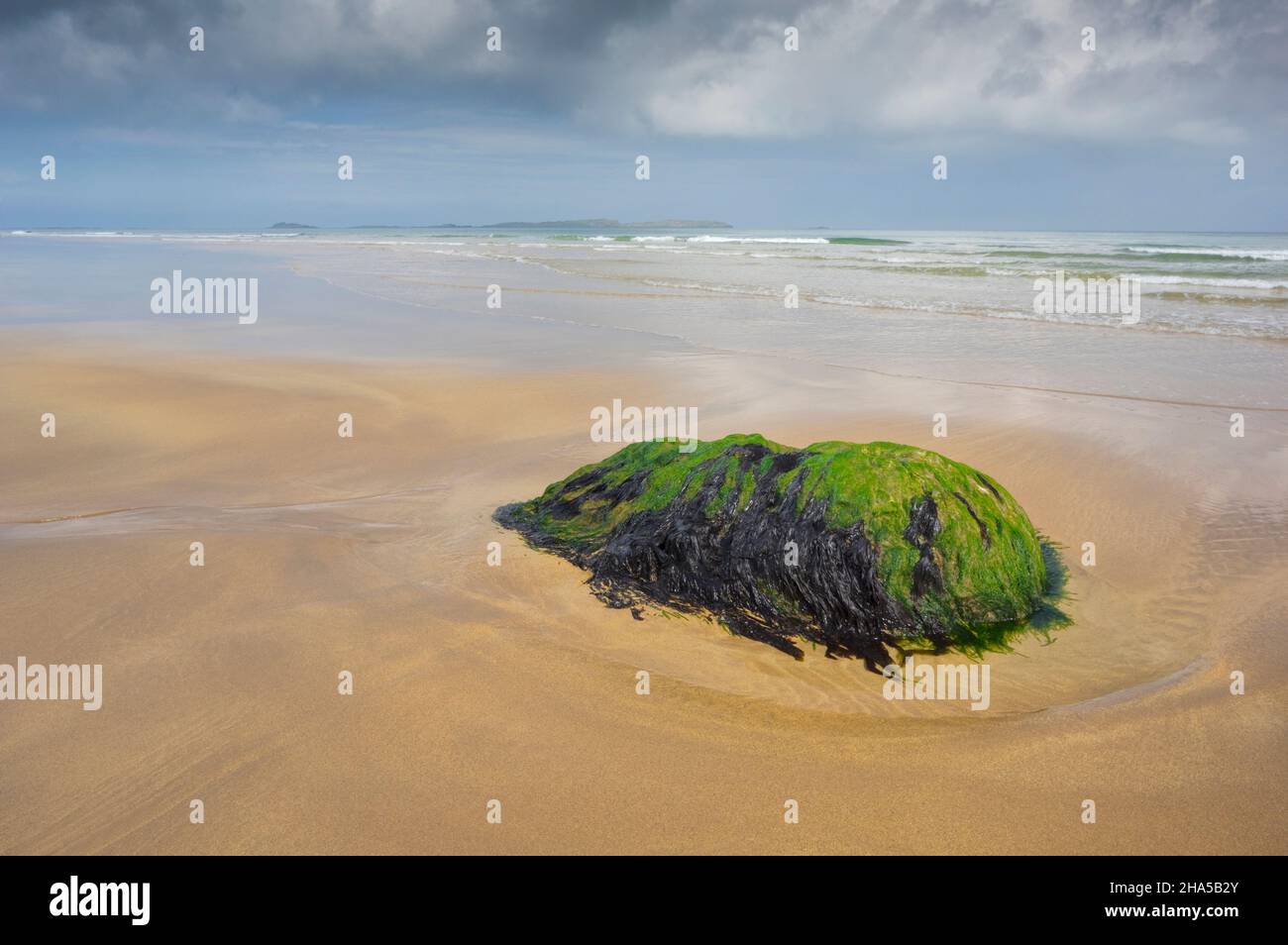 europe,northern ireland,county antrim,causeway coast,intertidal zone ...