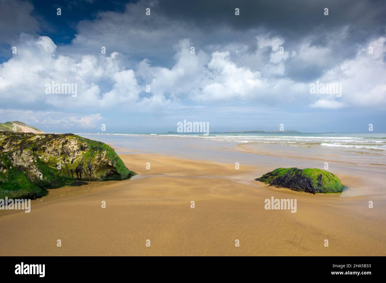 europe,northern ireland,county antrim,causeway coast,intertidal zone ...