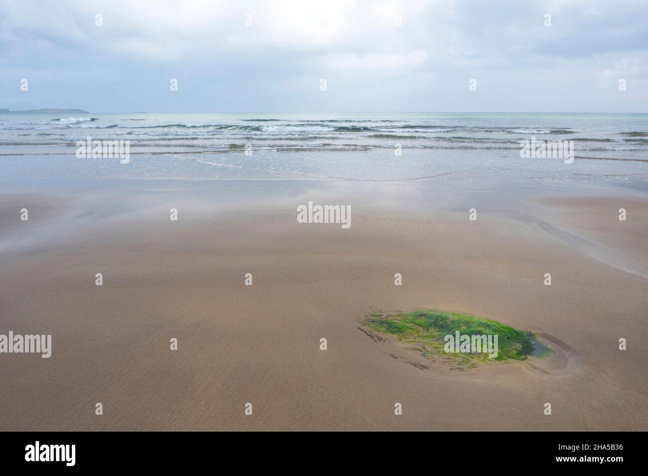 europe,northern ireland,county antrim,causeway coast,intertidal zone ...
