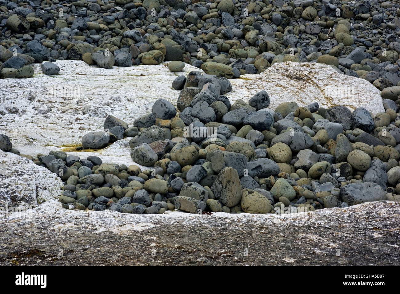 europe,northern ireland,county antrim,causeway coast,dark basalt ...