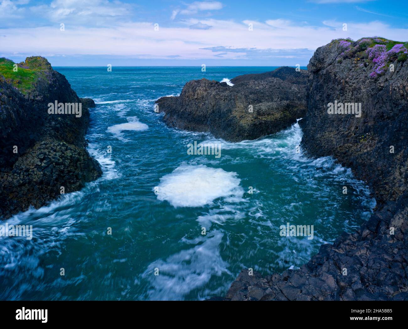 Foamy surf on the basalt rock coast hi-res stock photography and images ...