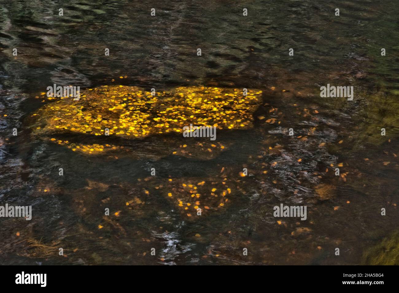 Money stone in the glenveagh river hi-res stock photography and images ...