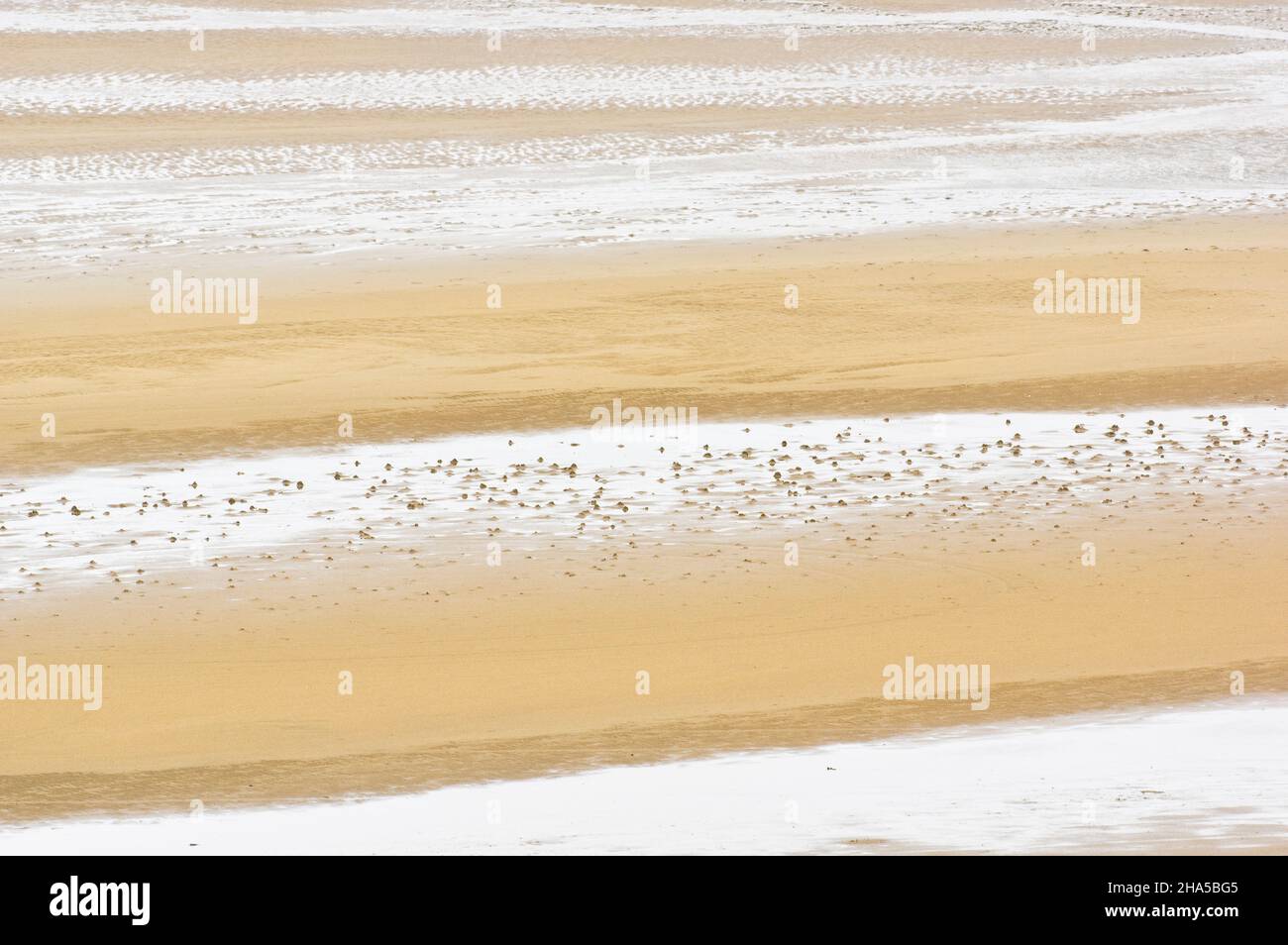 europe,republic of ireland,county donegal,intertidal zone on the sandy ...