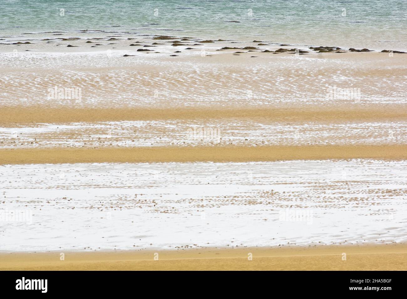 europe,republic of ireland,county donegal,intertidal zone on the sandy ...