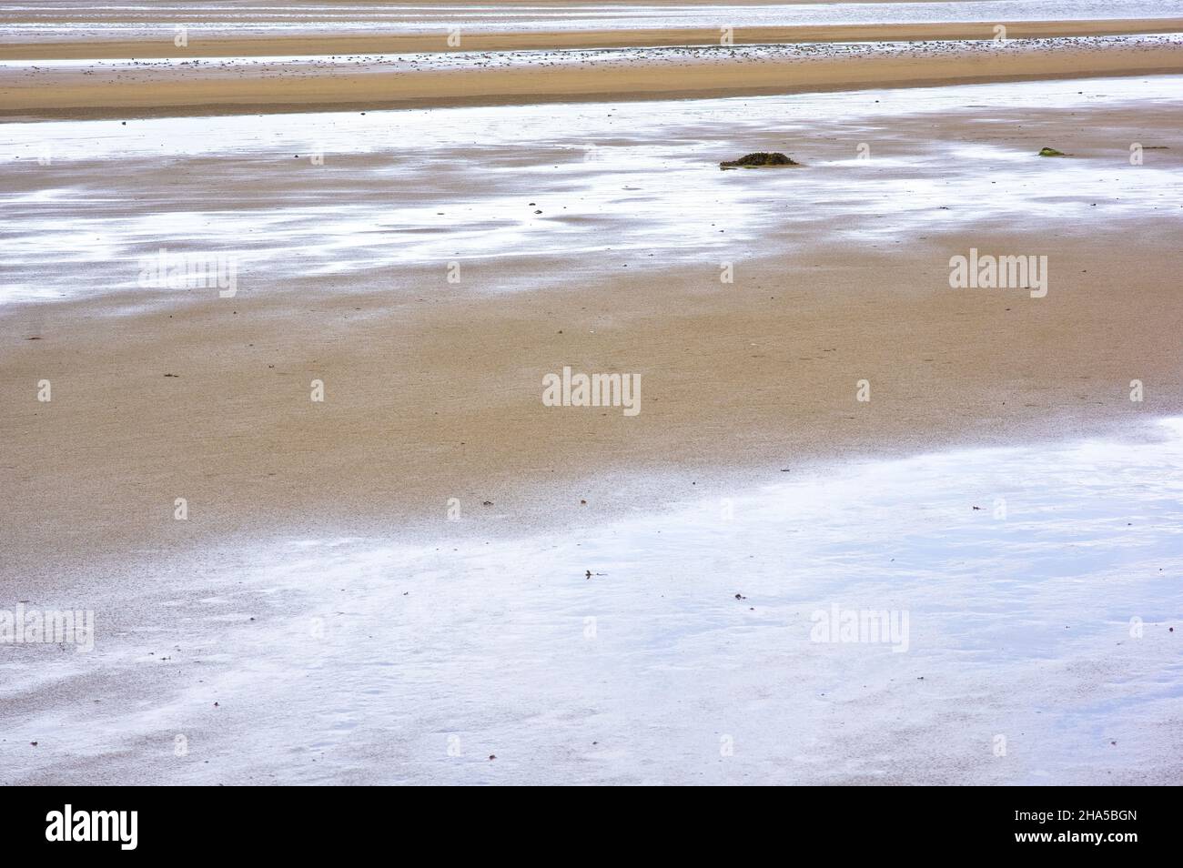 europe,republic of ireland,county donegal,intertidal zone on the sandy ...