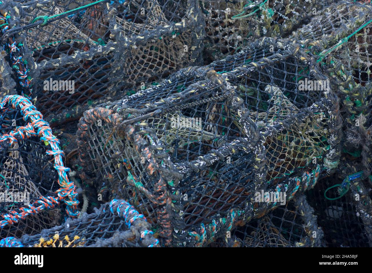 europe,republic of ireland,county wexford,kilmore quay,fishing port ...