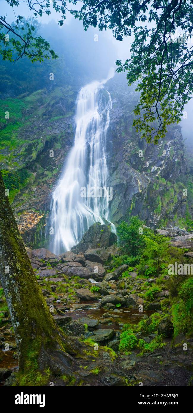 europe,republic of ireland,county wicklow,powerscourt waterfall at ...