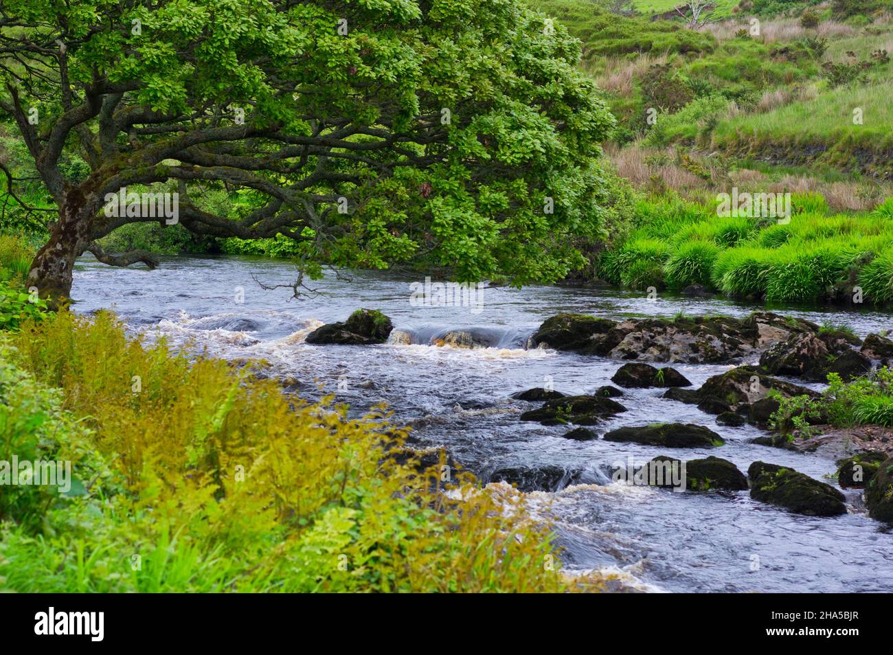 europe,republic of ireland,county donegal,rapids on the glen river at ...