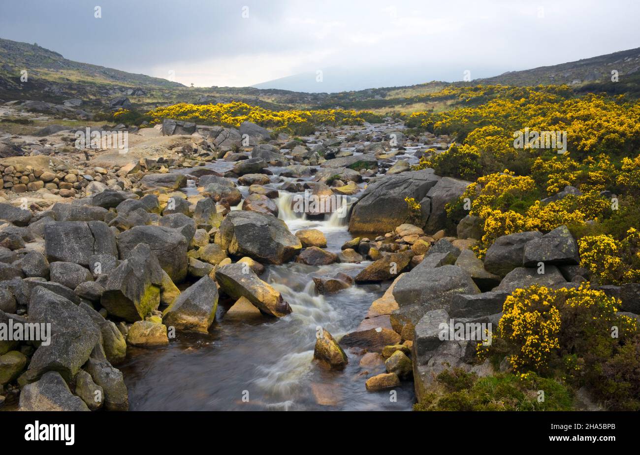 Wicklow gap hi-res stock photography and images - Alamy