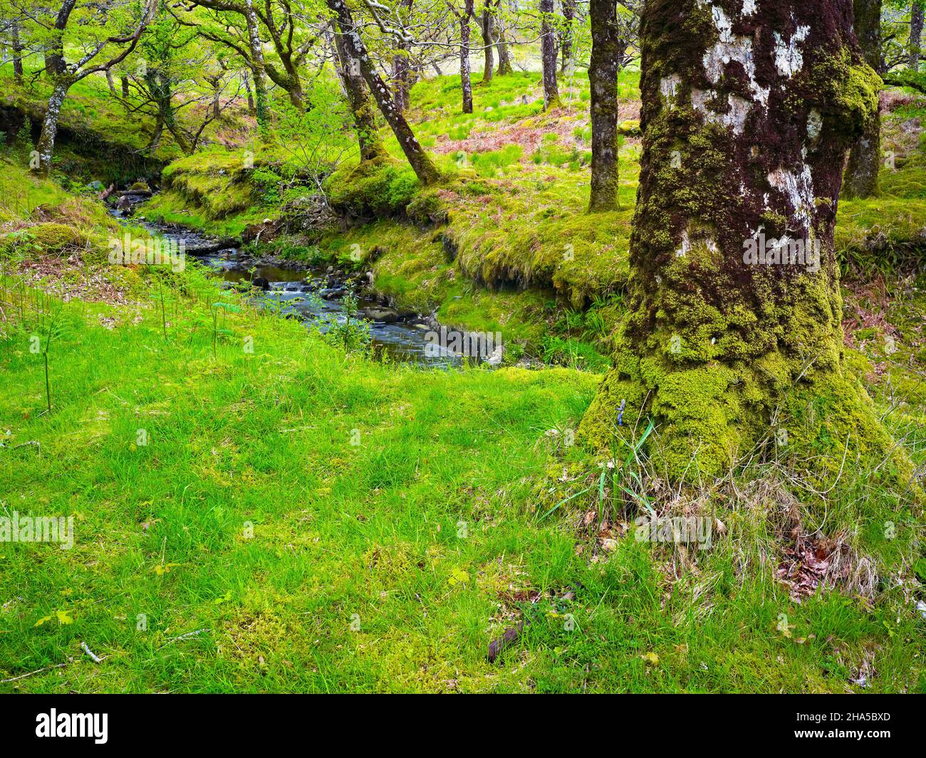 Europe ireland county mayo westport hi-res stock photography and images ...