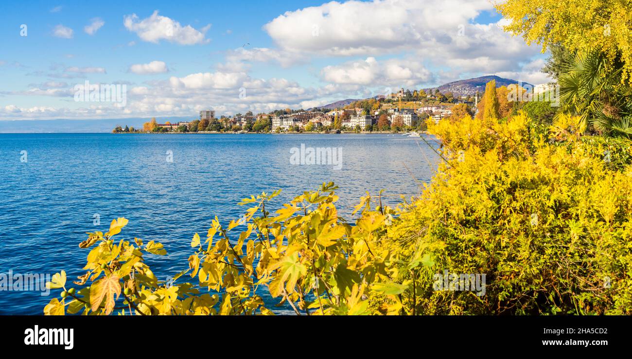 switzerland,canton of vaud,autumn on lac leman Stock Photo - Alamy