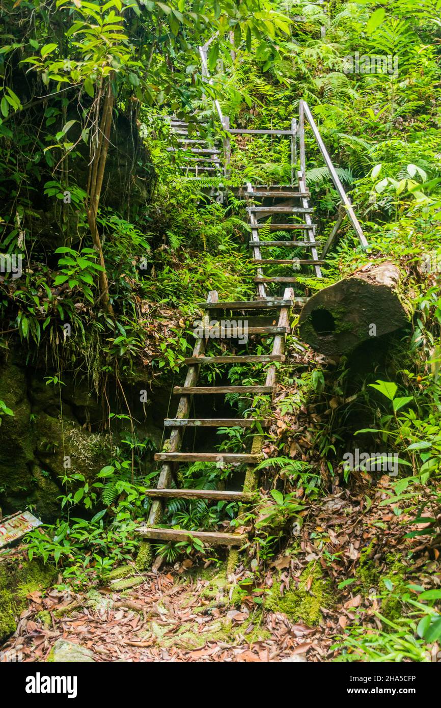 Ladders in Bako National Park, Sarawak, Malaysia Stock Photo - Alamy