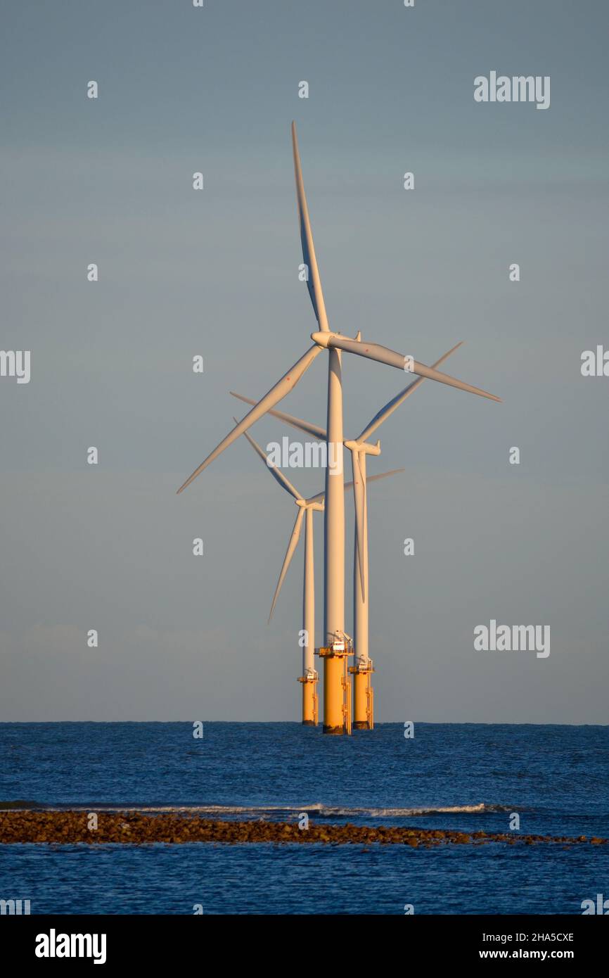 Naturally lit colour image of the Teesside Wind Farm operated by EDF ...