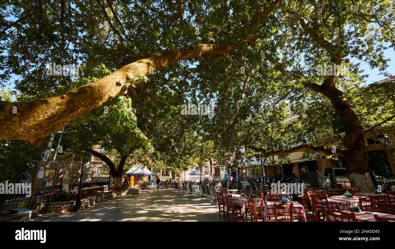 Taverns under the plane trees hi-res stock photography and images - Alamy