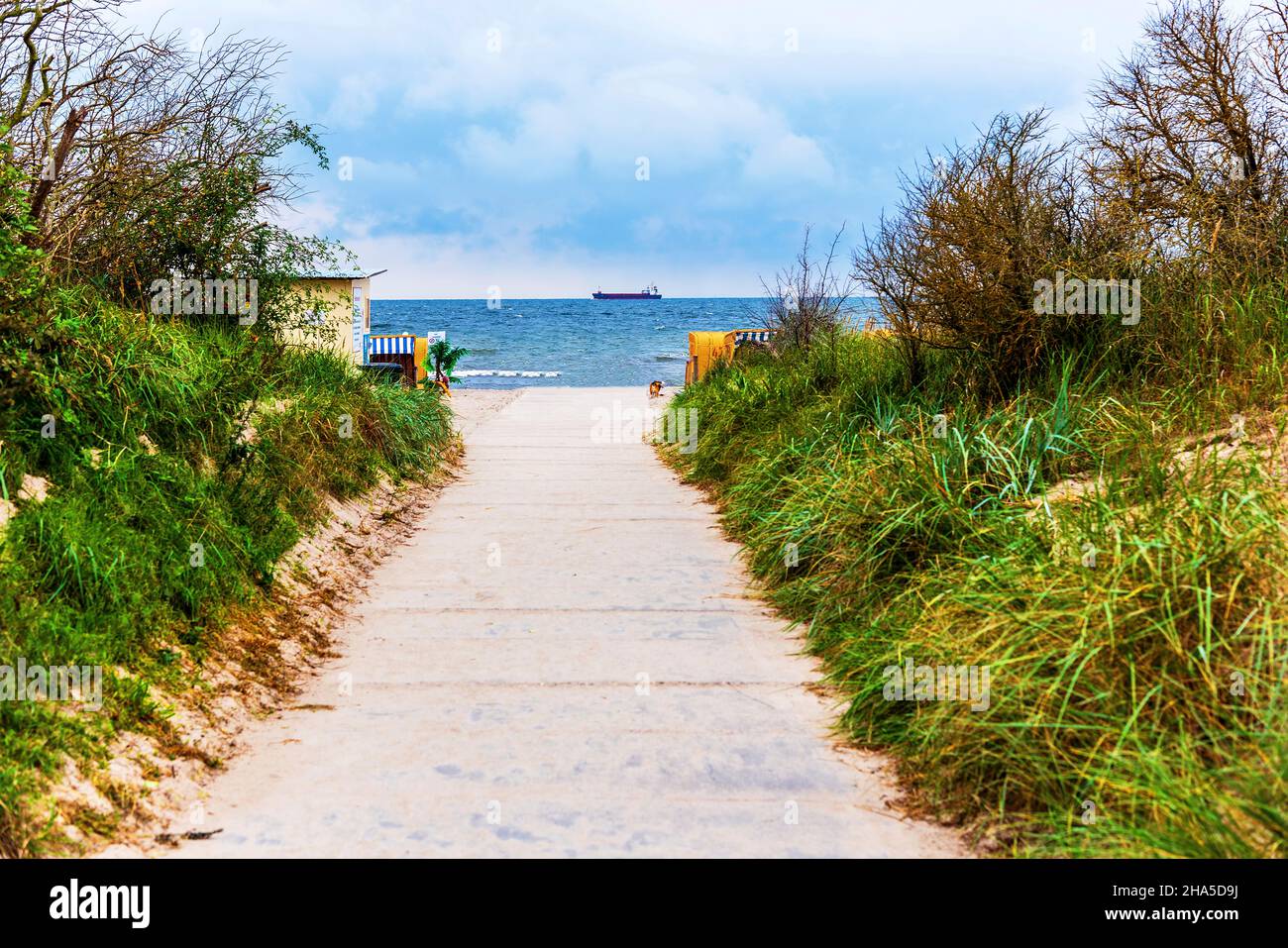 way to the beach in timmendorf on poel island Stock Photo - Alamy