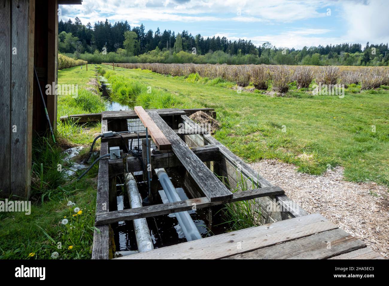View of a farmer's irrigation water shed on a large patch of farmland ...