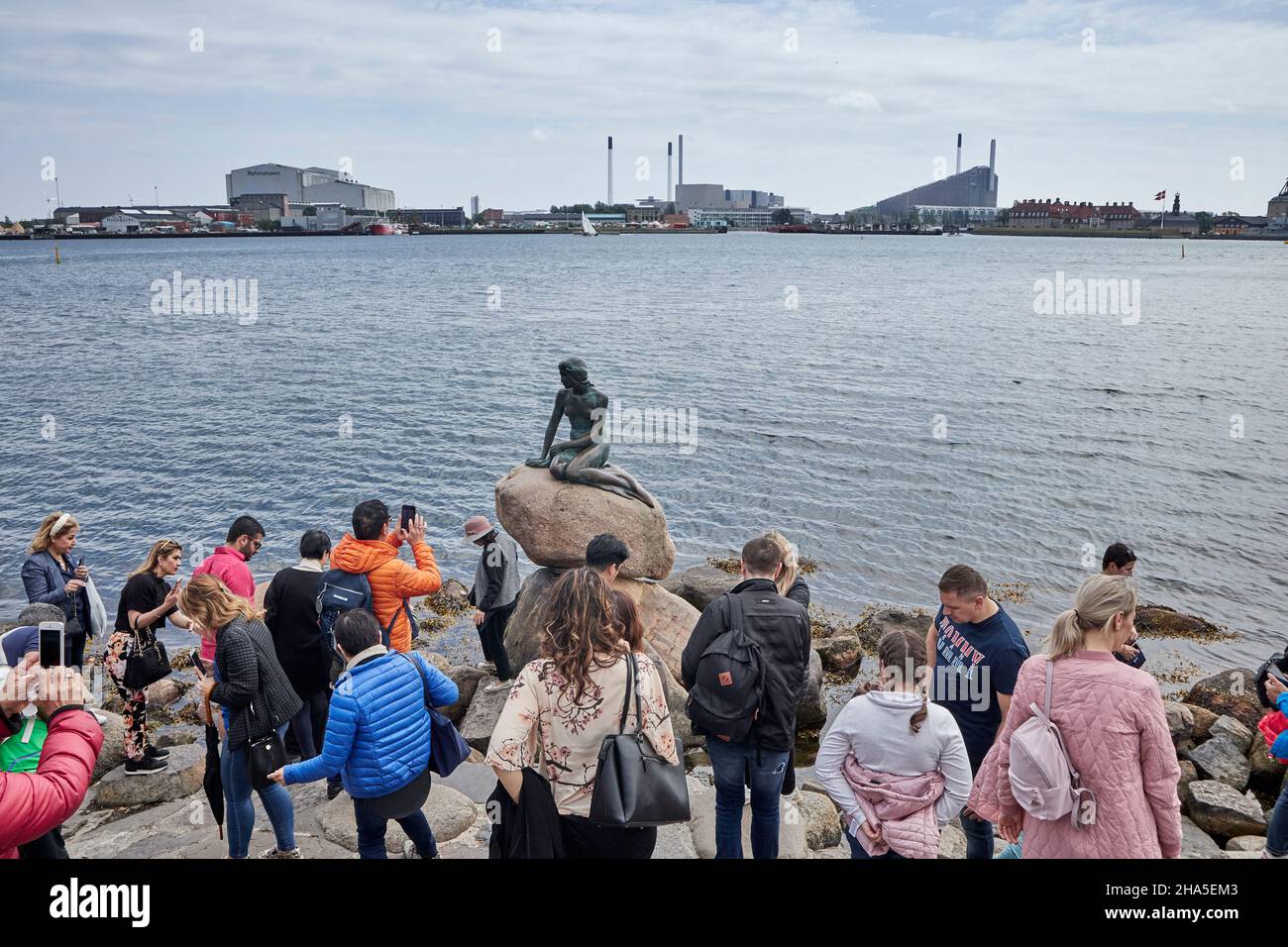 denmark,zealand,copenhagen,statue of the "little mermaid" by sculptor edvard eriksen with ...