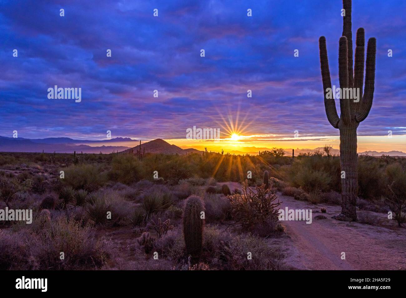 A sunrise scene with sunburst or sunrays in a desert preserve in North ...