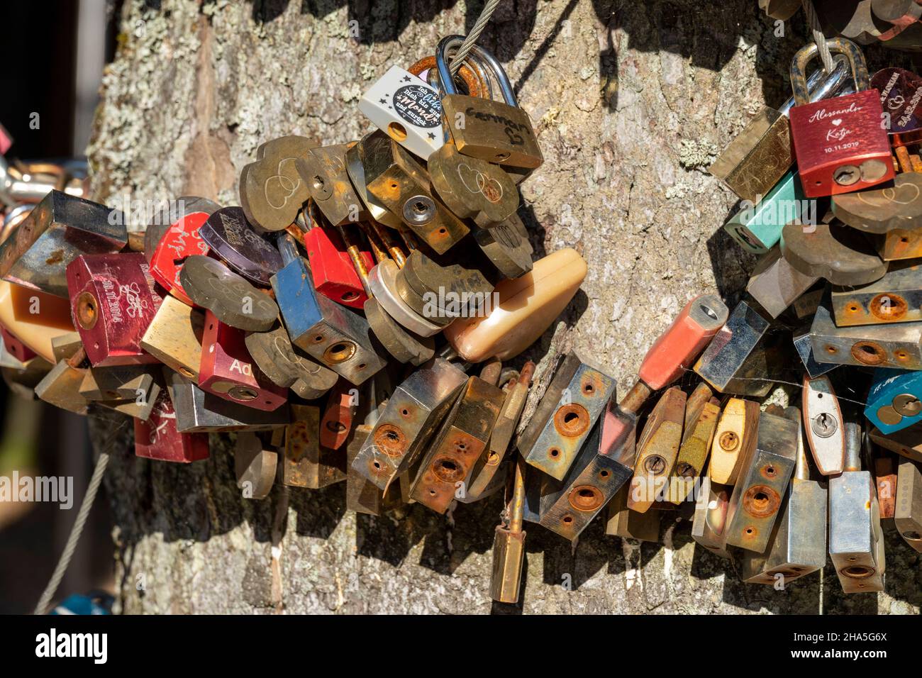 germany,black forest,love tree at mummelsee Stock Photo - Alamy