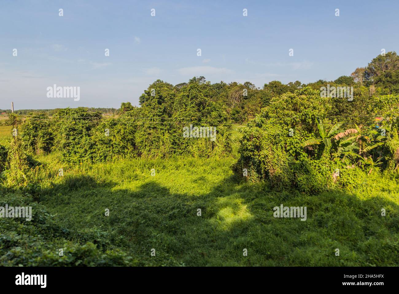 Landscape of Sabah state, Malaysia Stock Photo - Alamy