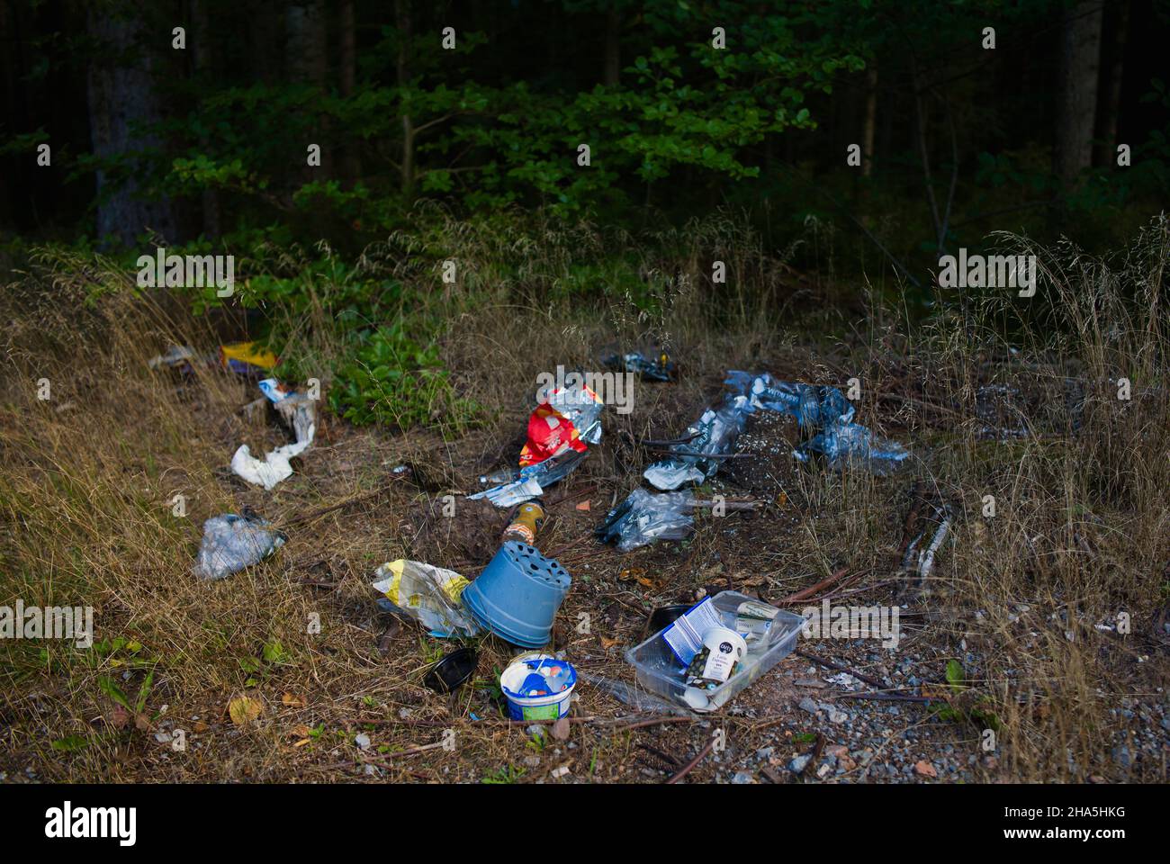 dumped household waste,environmental pollution,forest area near ...