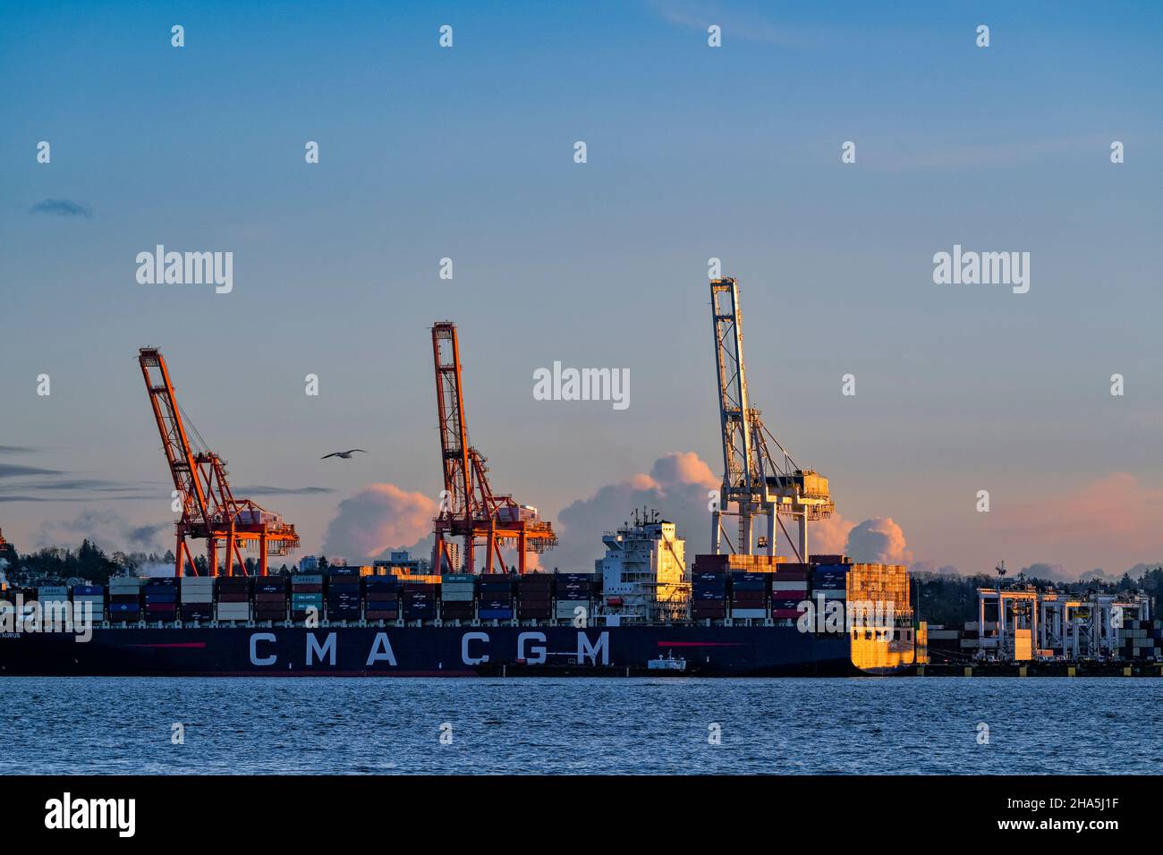 Vanterm container terminal port vancouver hi-res stock photography and ...