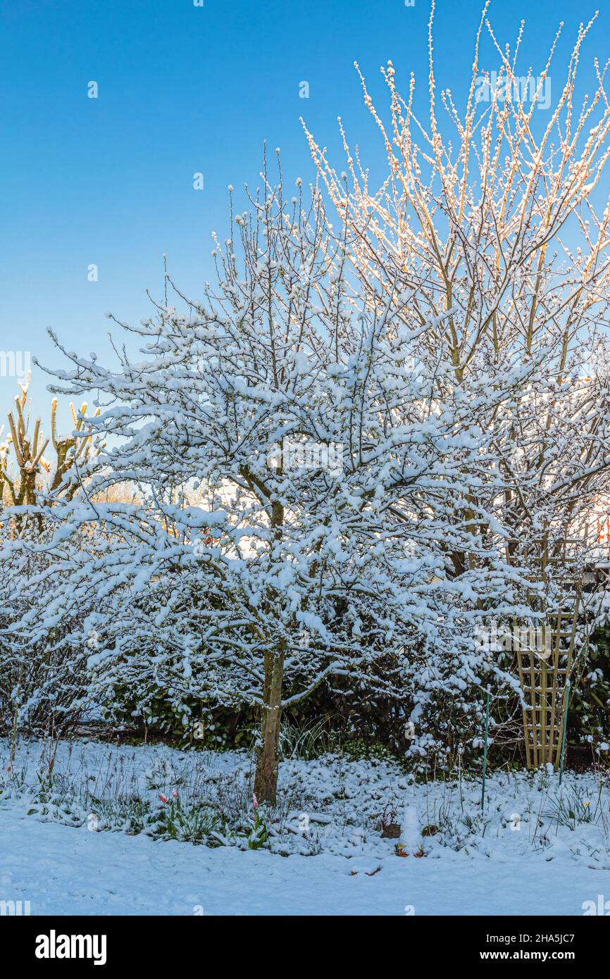 onset of winter in spring,winter impression Stock Photo - Alamy