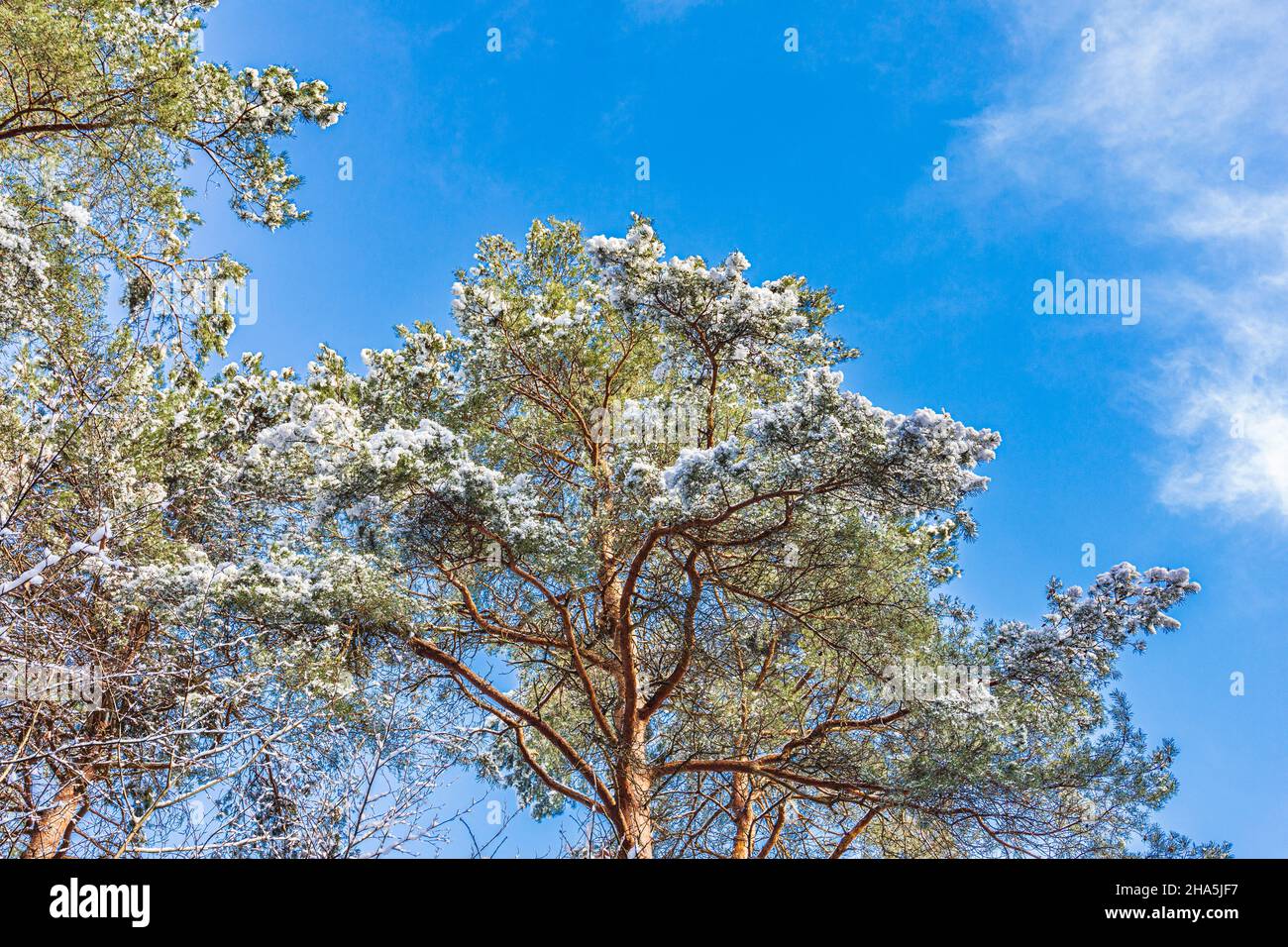 Icy cold blue color colour hi-res stock photography and images - Alamy