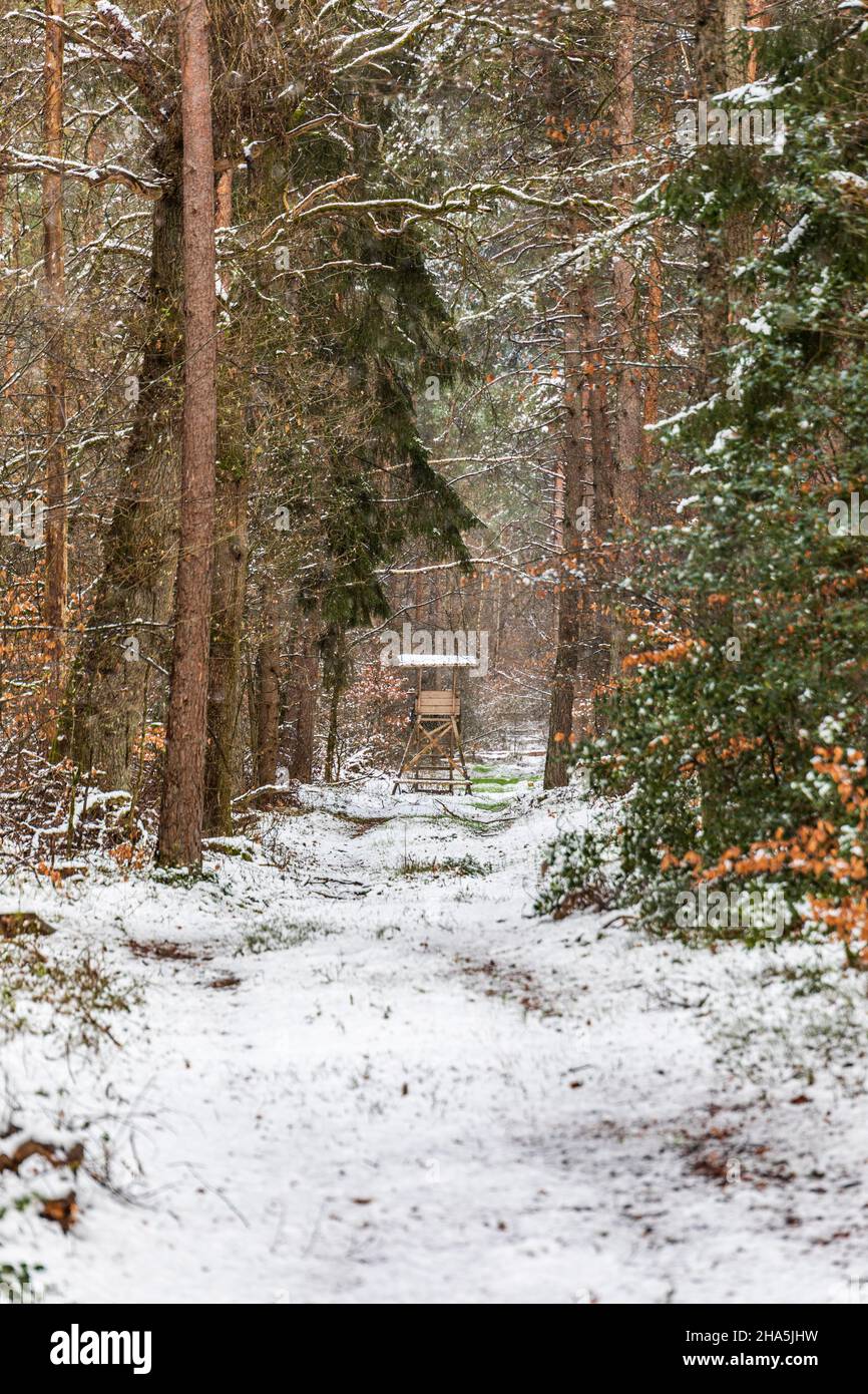 onset of winter in spring,hunting seat Stock Photo - Alamy