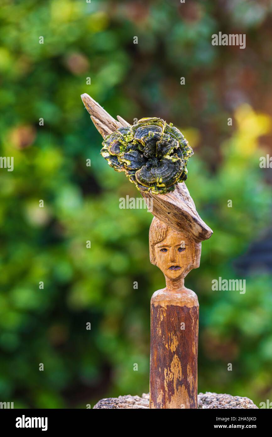 decorative carved sculpture from a tree root Stock Photo - Alamy