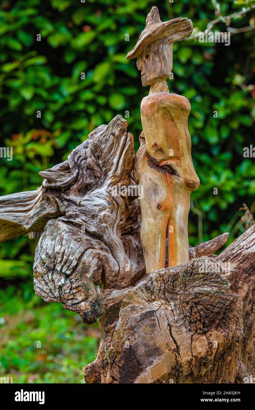 decorative carved sculpture from a tree root Stock Photo - Alamy
