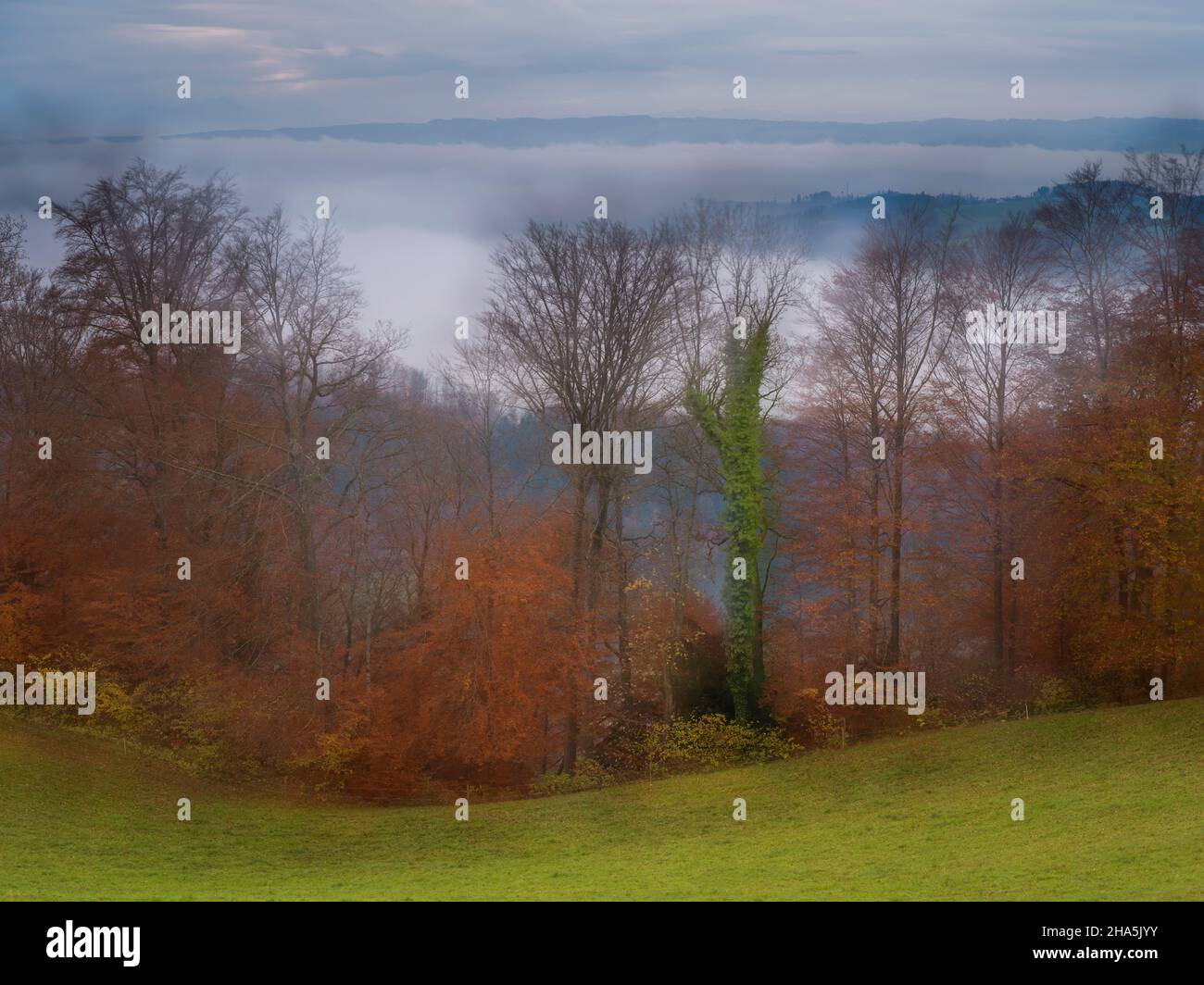 Experimental long exposure hi-res stock photography and images - Alamy