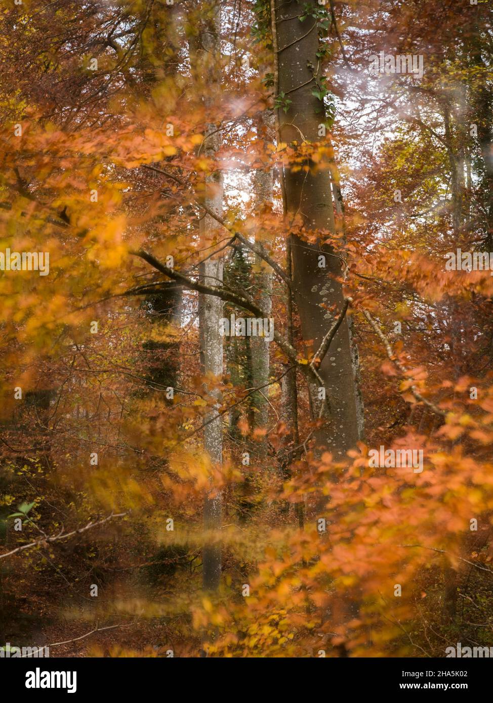 Overexposure photography hi-res stock photography and images - Alamy