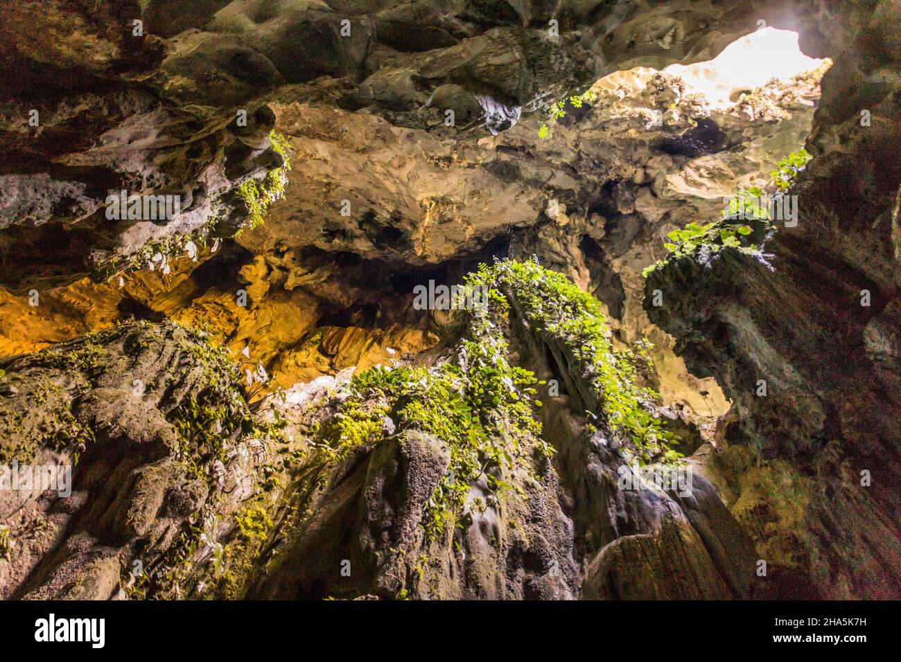 Interior of Fairy Caves in Sarawak state, Malaysia Stock Photo - Alamy