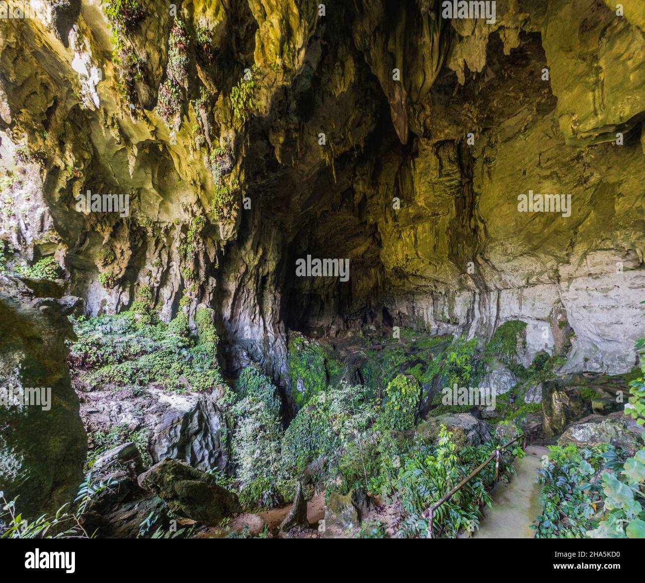 Interior of Fairy Caves in Sarawak state, Malaysia Stock Photo - Alamy