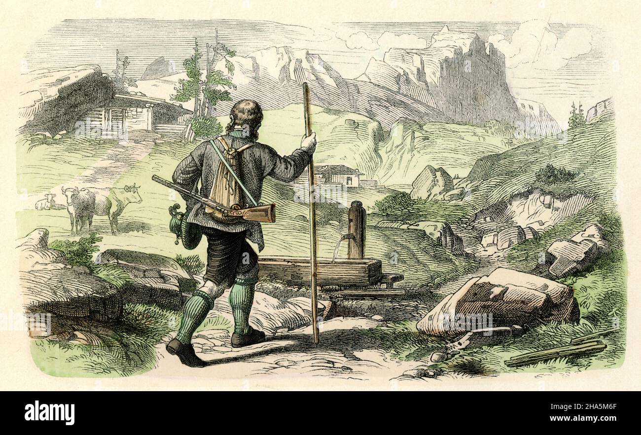Hunting chamois in the Alps: hunter at the beginning of his migration ...