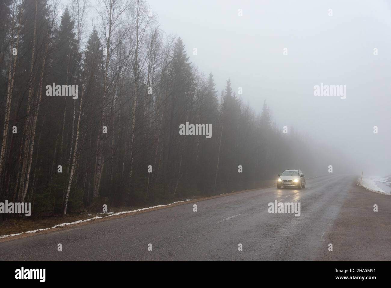 car drives on country road,fog,forest,pello,lapland,finland Stock Photo ...