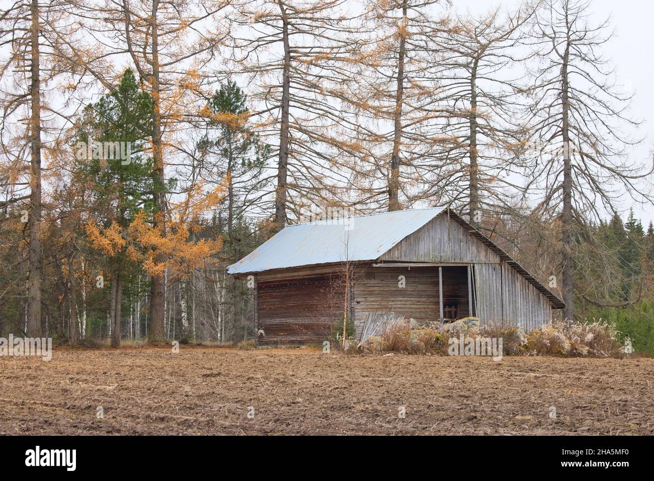 Grain barn hi-res stock photography and images - Alamy