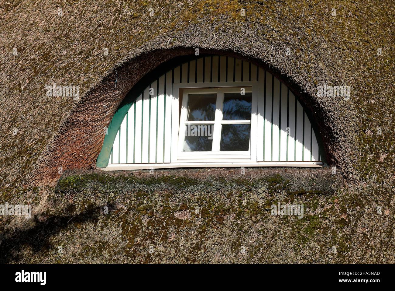 thatched roof,window,thatched roof house,bremen,germany Stock Photo - Alamy