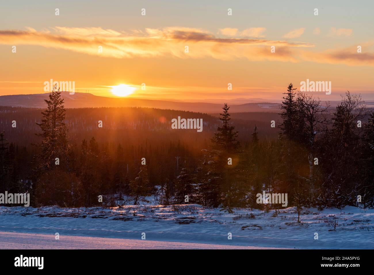 sunset,pallastunturi winter forest,muonio,lapland,finland Stock Photo ...