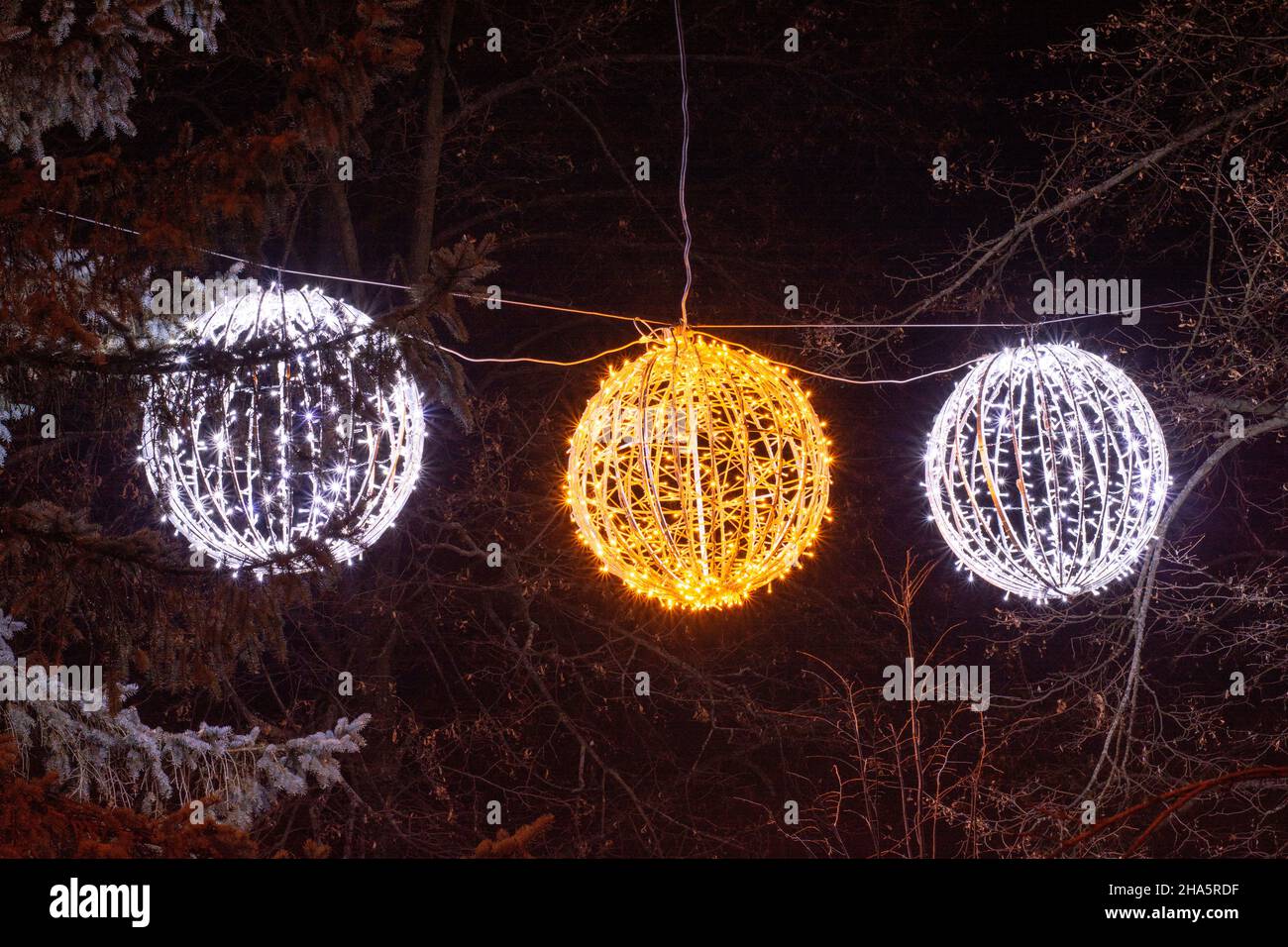 LED Christmas Light Balls hanging from the tree in the winter. Light ...