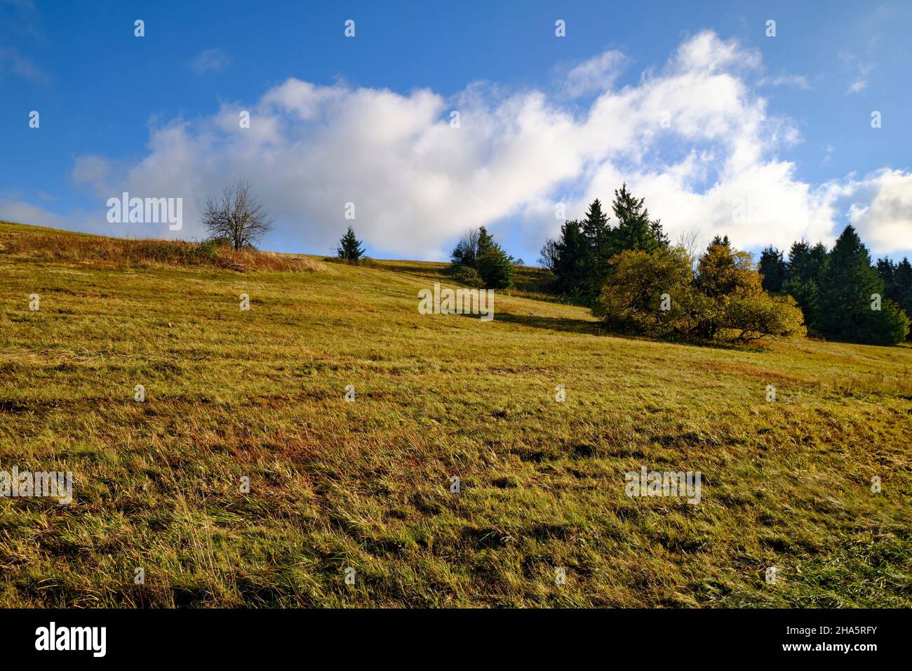 the wasserkuppe,the highest mountain in the rhön in autumn,rhön ...