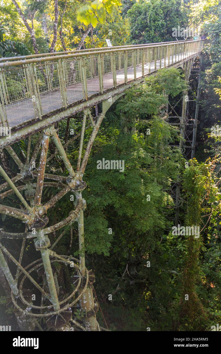 Canopy observation bridge in Rainforest Discovery Centre in Sepilok ...