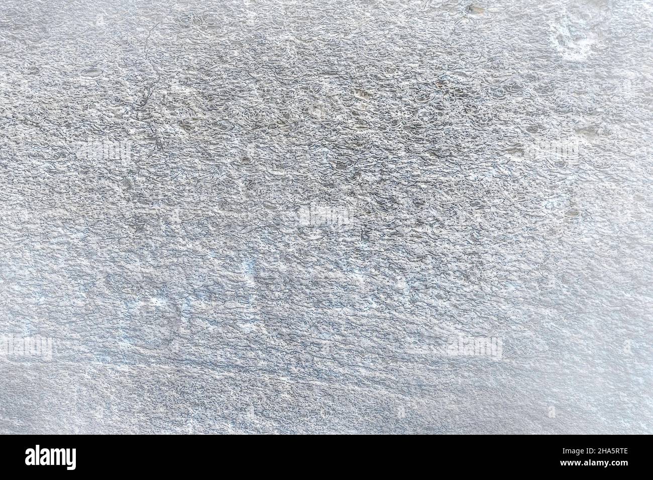 Texture made of close-up image of shell rock surface Stock Photo - Alamy