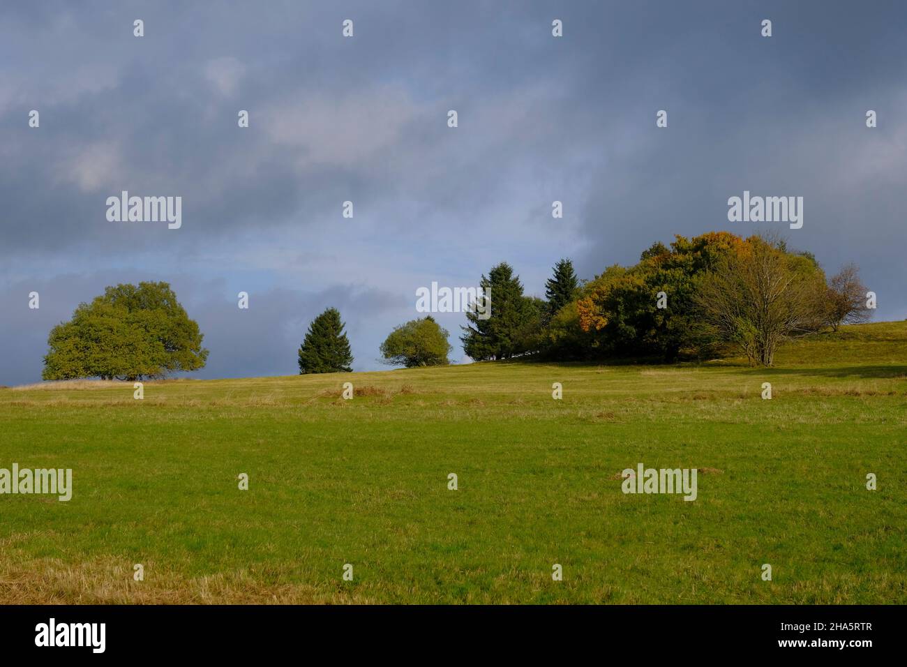 the nature reserve lange rhön in the core zone of the rhön biosphere ...