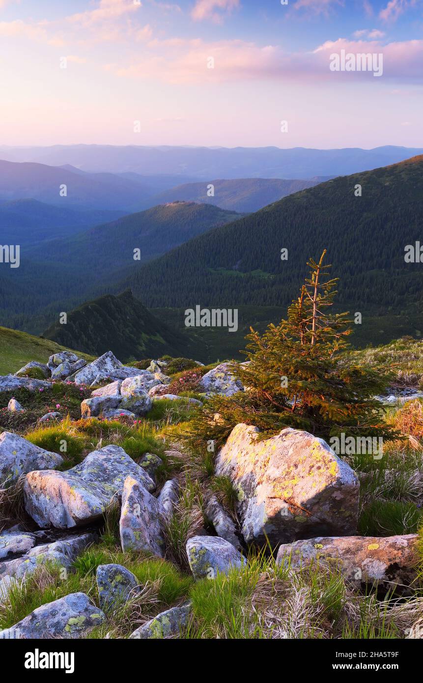 Landscape evening sky setting hi-res stock photography and images - Alamy